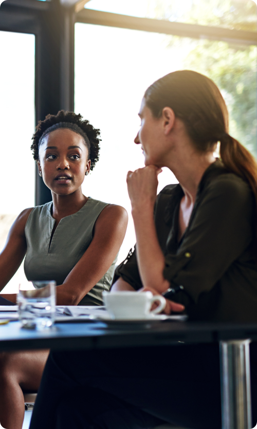 Expert BEE Audit Assistance